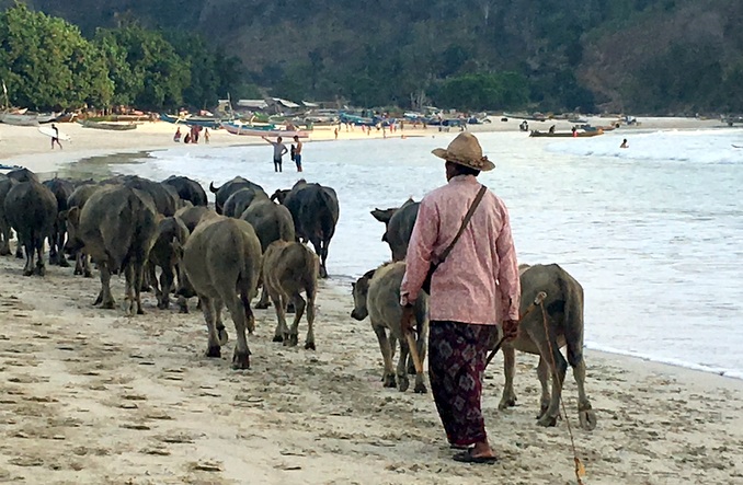 Lombok – turtles, turquoise water and a touch of paradise – Caroline ...